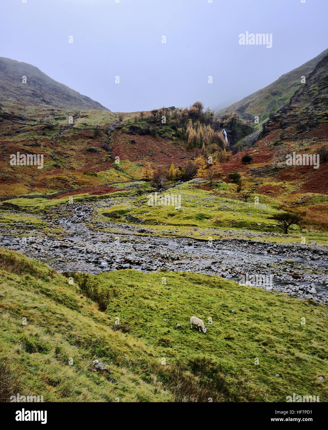 Gill force lake district hi-res stock photography and images - Alamy