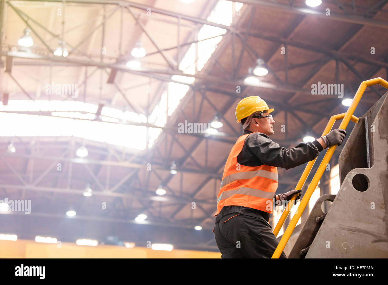 Climbing plant series hi-res stock photography and images - Alamy