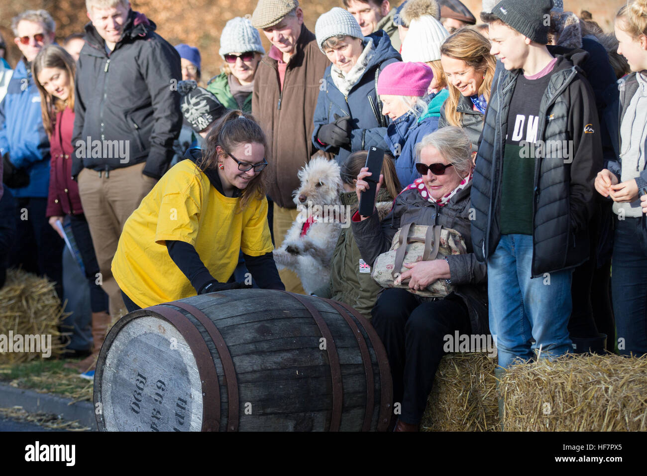 Barrel racing cambridgeshire hi-res stock photography and images - Alamy