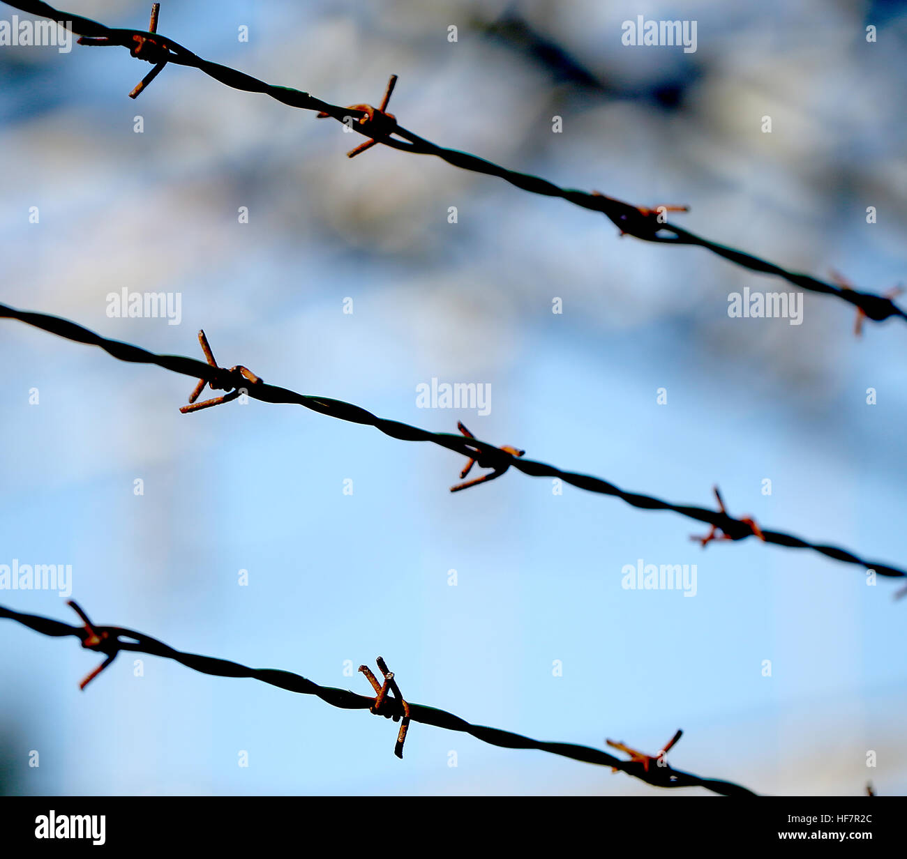 three barbed wire lines and blurred background blurred with other ...