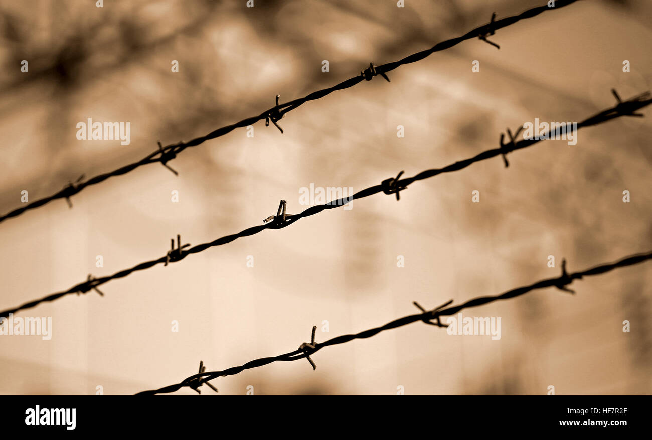three barbed wire lines and background blurred with other barriers with ...
