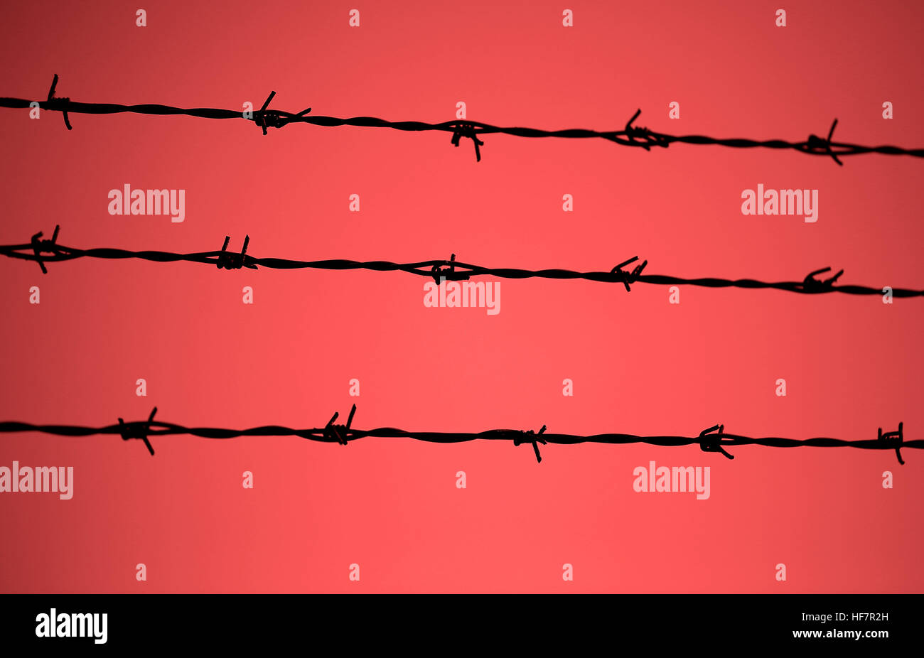 barbed wire and the blurred dark red background Stock Photo - Alamy