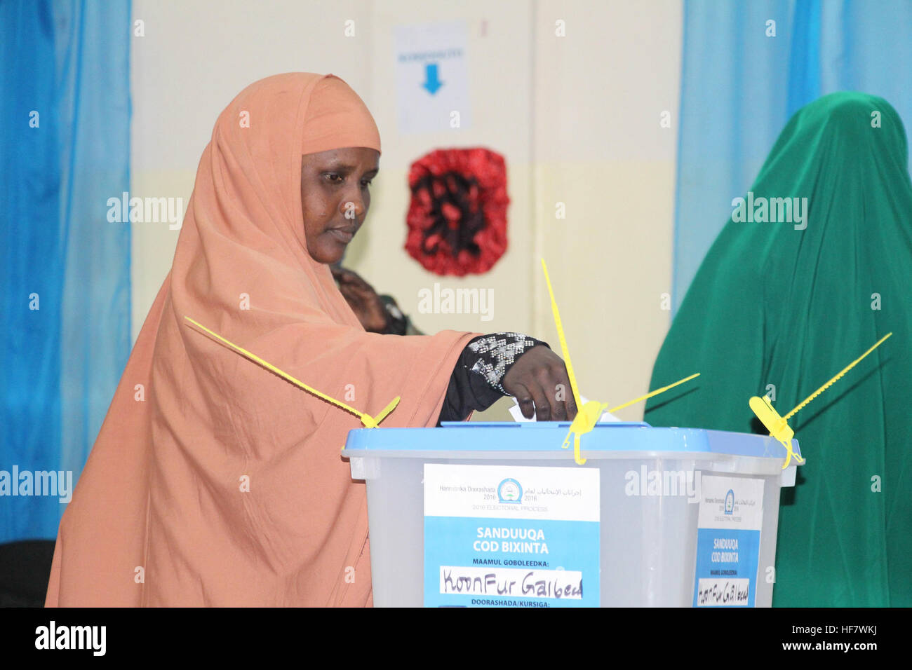 A delegate casts her vote during the electoral process to choose ...