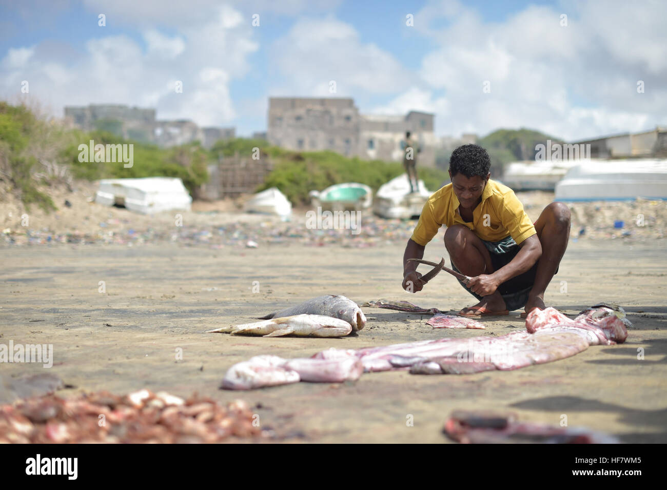 A fisherman guts fish on the beach in Barawe, Somalia, on August 23 ...