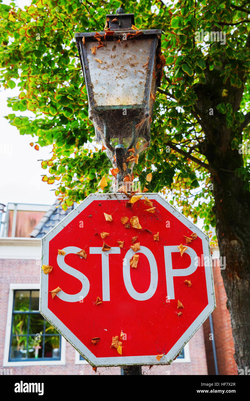 Stop lamp hi-res stock photography and images - Alamy