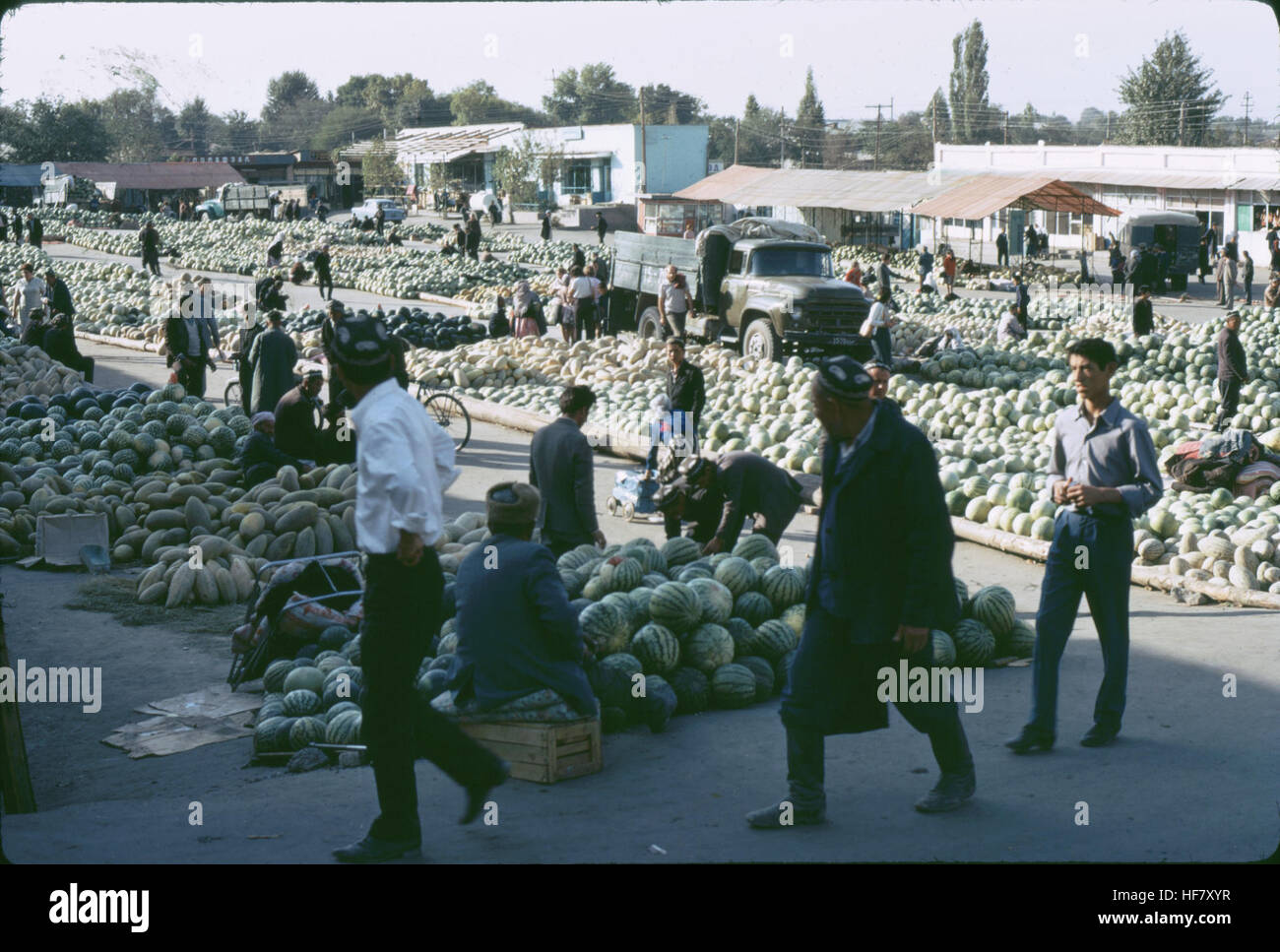 This image depicts a bustling melon market in Samarkand, Uzbekistan ...