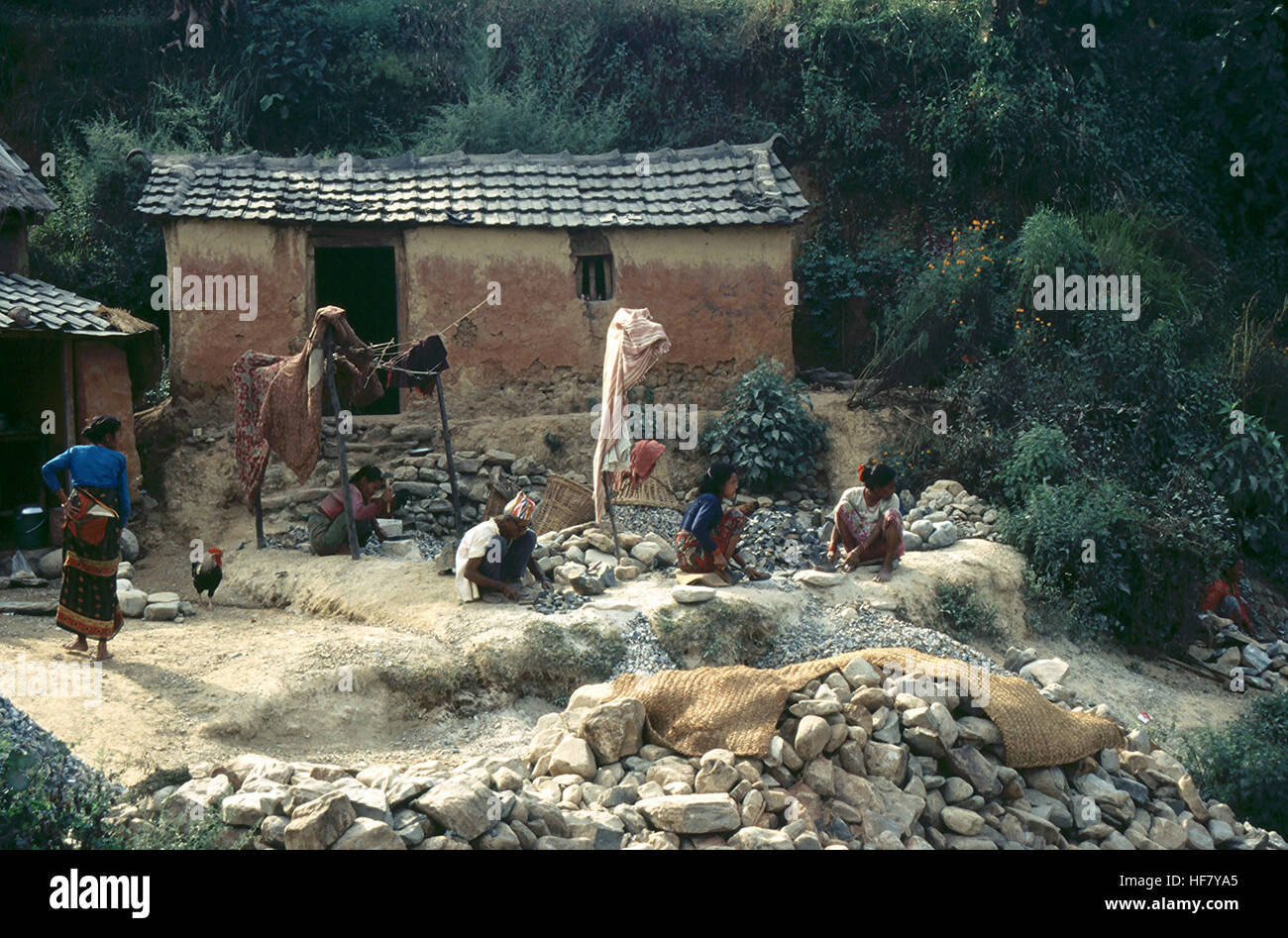 U.S. Customs and Border Protection (CBP) is the federal agency ...