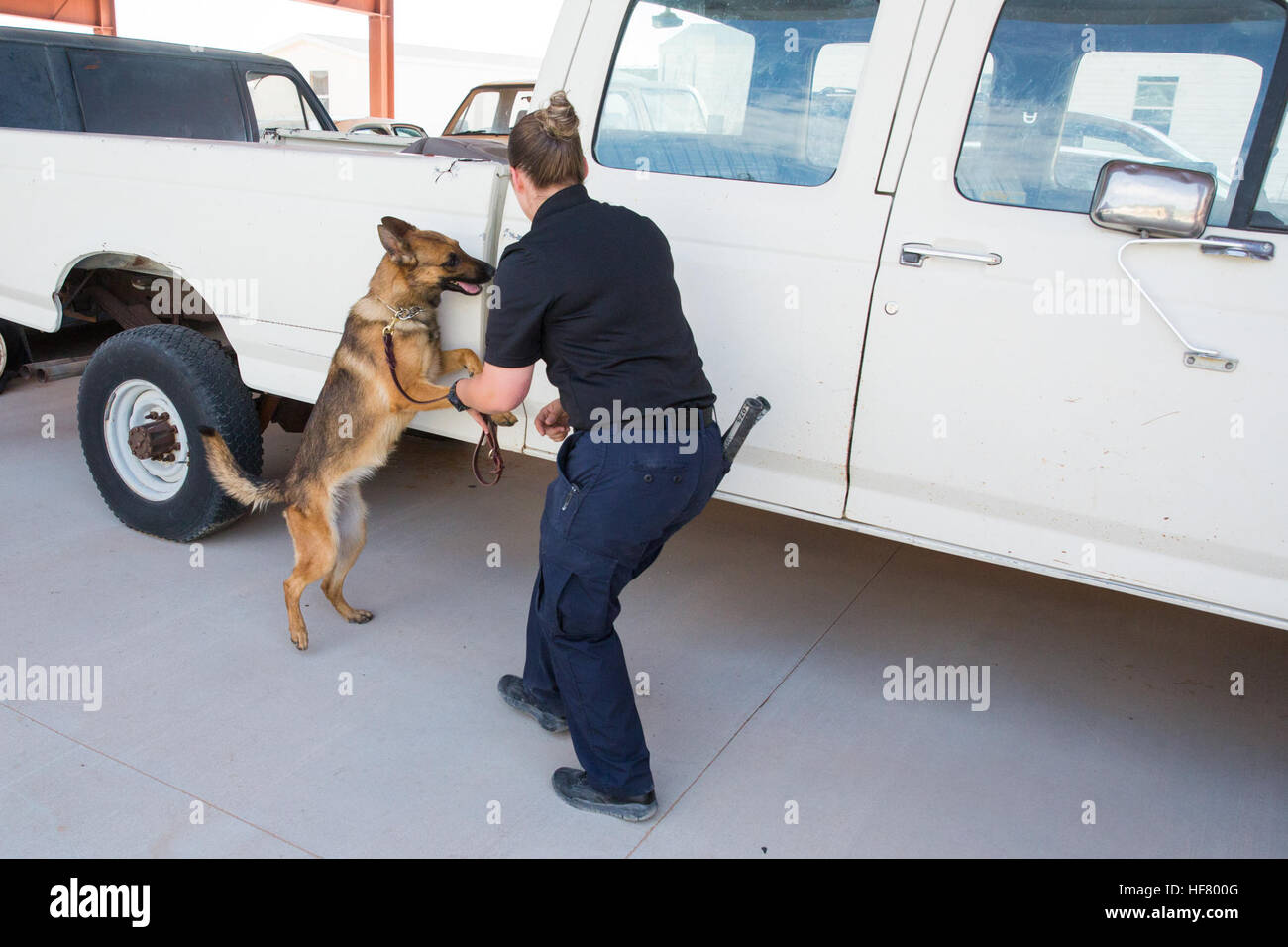 Cbp canine hi-res stock photography and images - Alamy