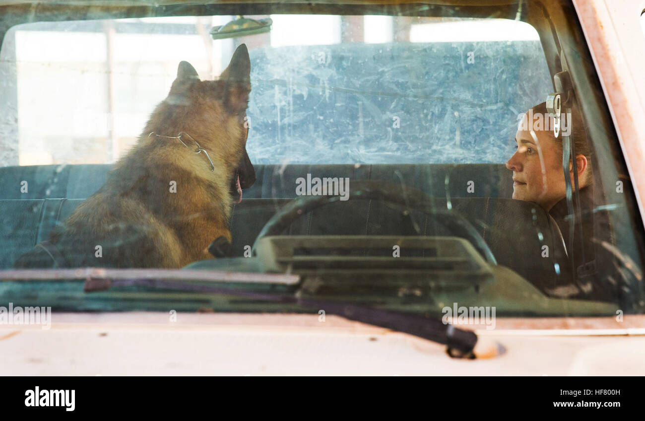 Students and their canine counterparts go through training at the CBP ...