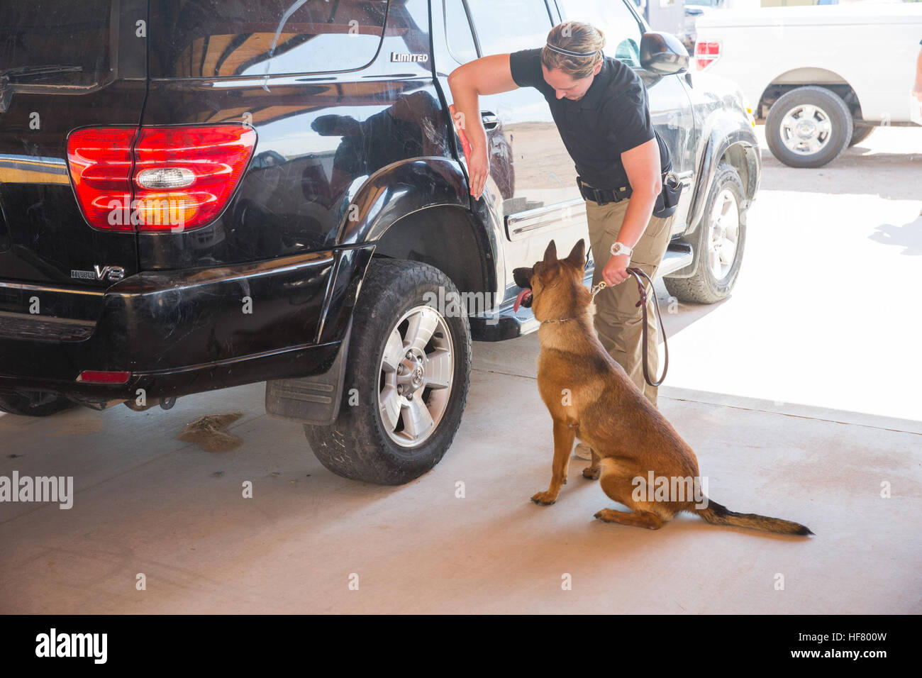 Students and their canine counterparts go through training at the CBP ...