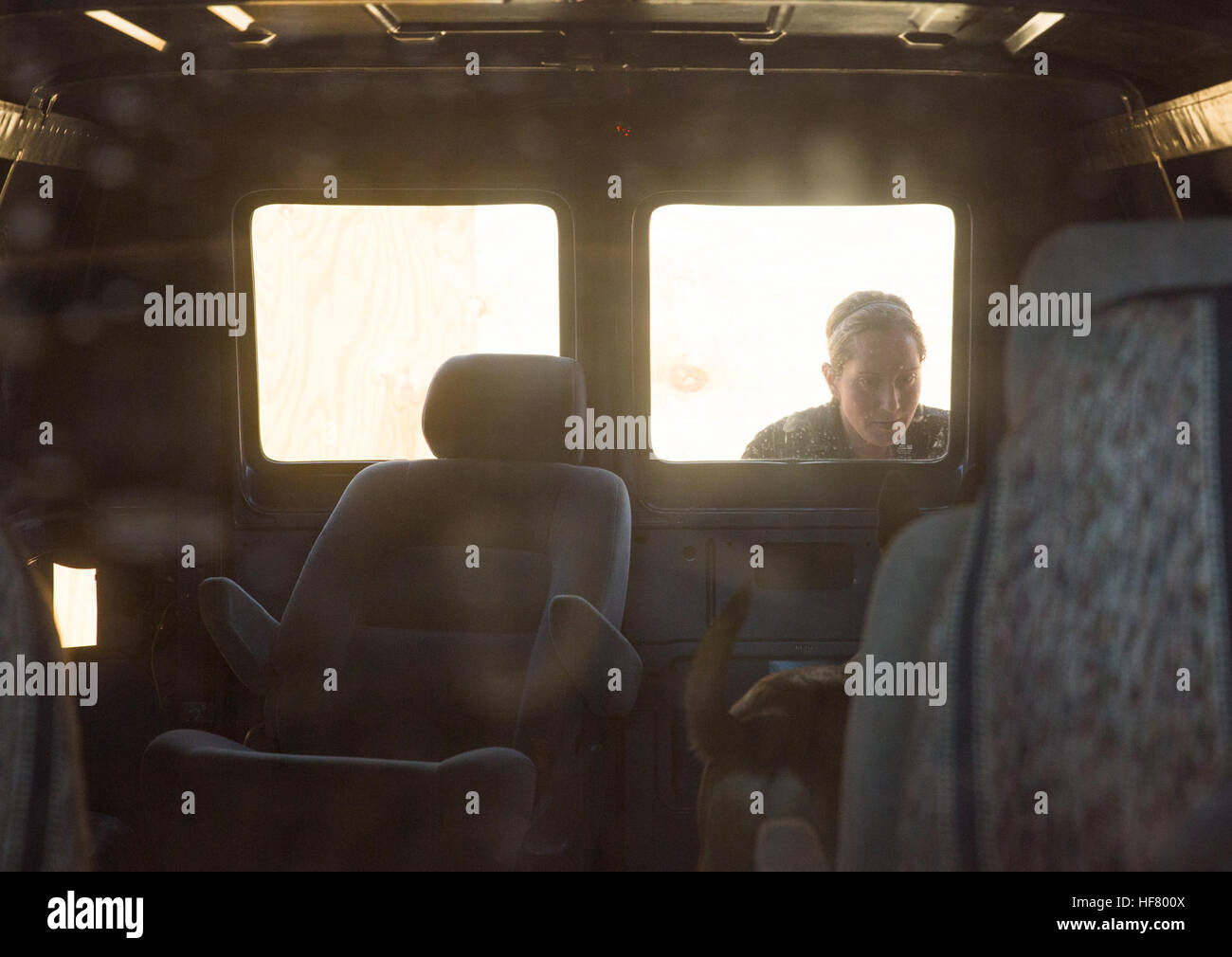 Cbp canine hi-res stock photography and images - Alamy