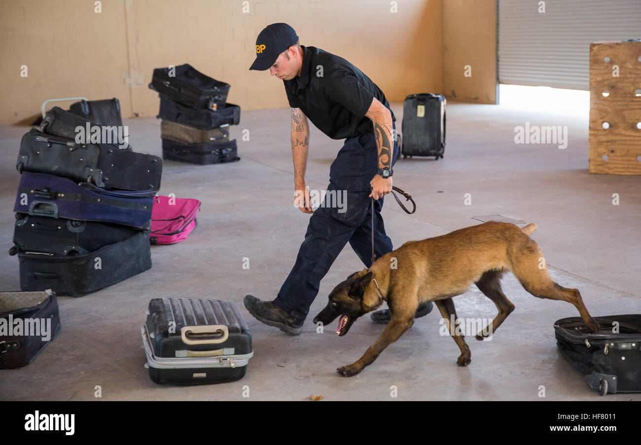Students and their canine counterparts go through training at the CBP ...
