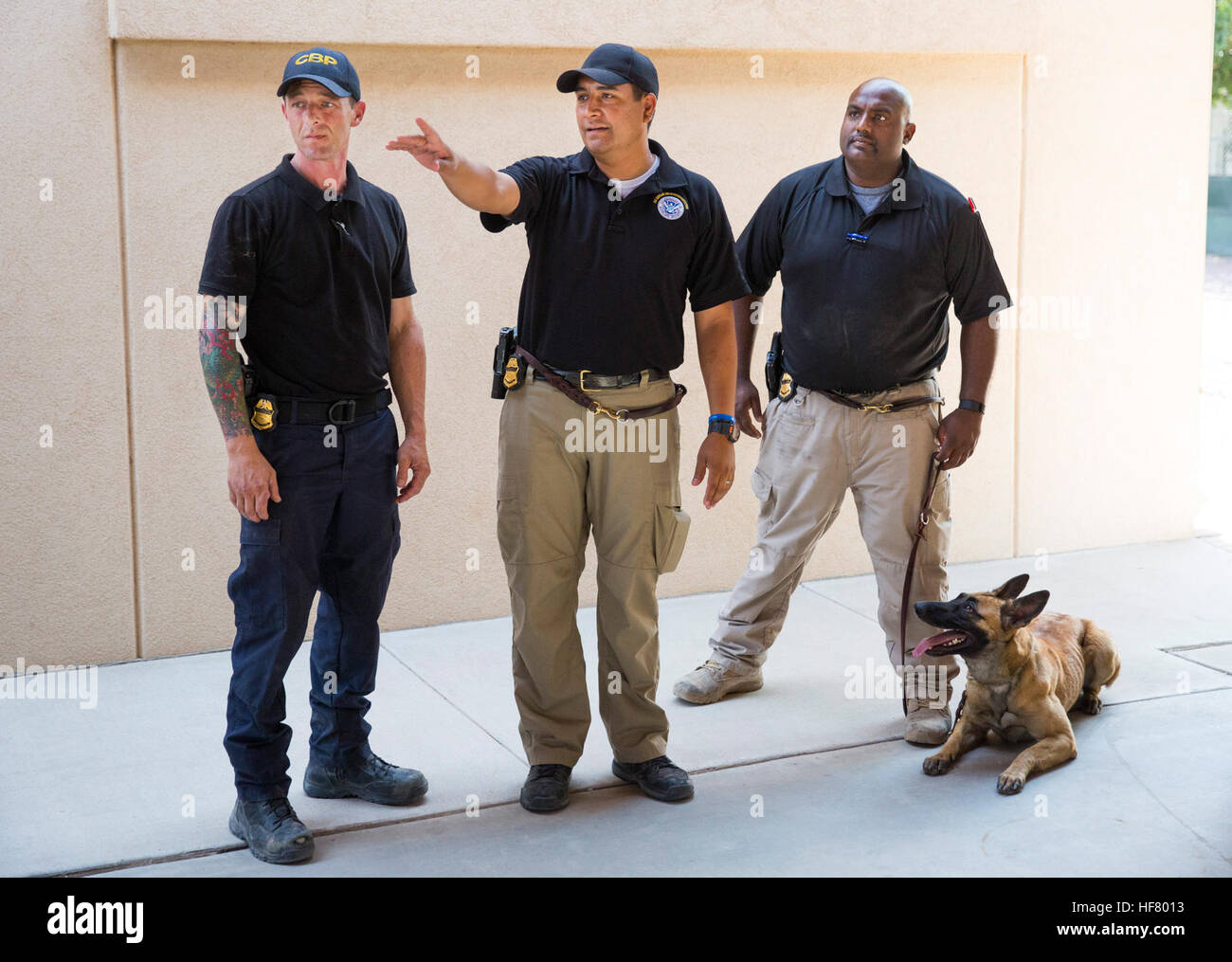 Cbp canine hi-res stock photography and images - Alamy