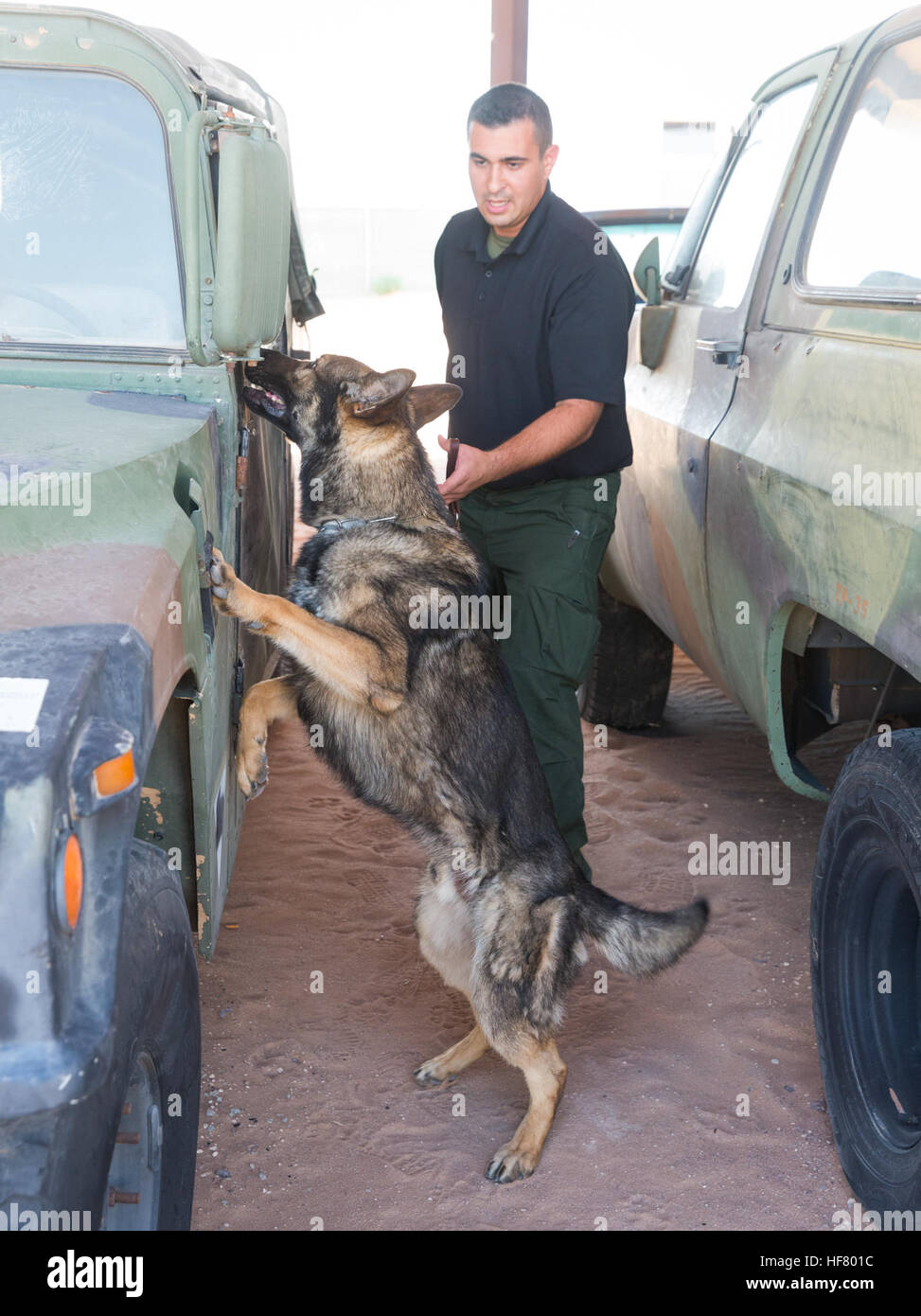 Students and their canine counterparts go through training at the CBP ...