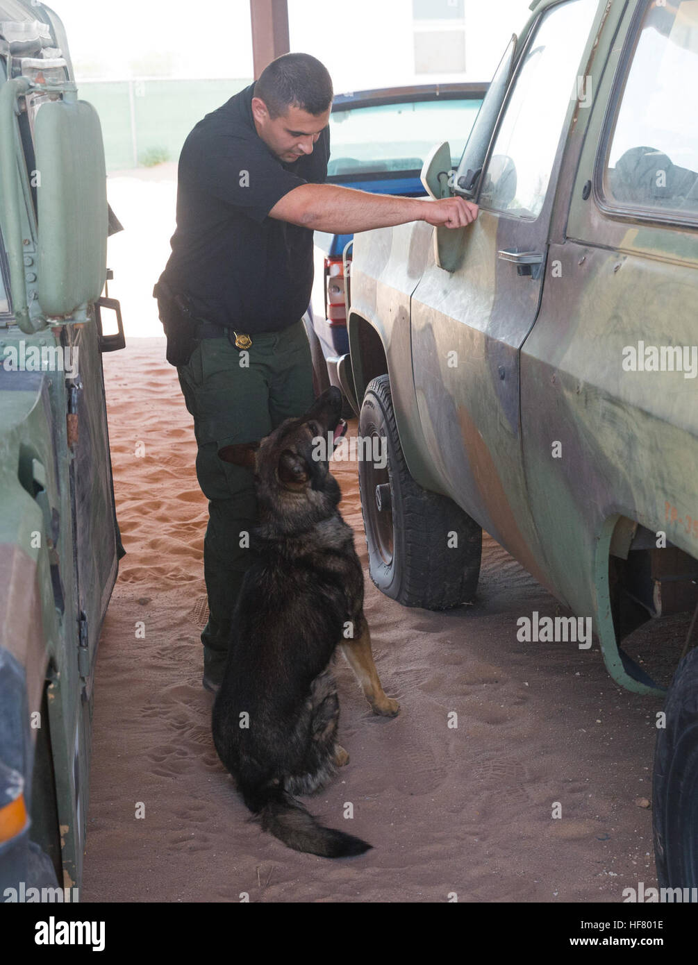 Students and their canine counterparts go through training at the CBP ...