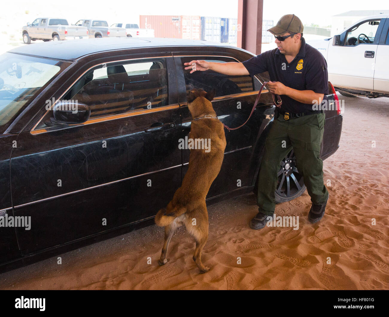 Students and their canine counterparts go through training at the CBP ...