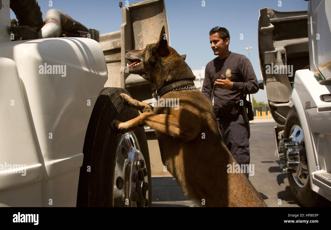 A U.S. Customs and Border Protection officer and his canine companion ...