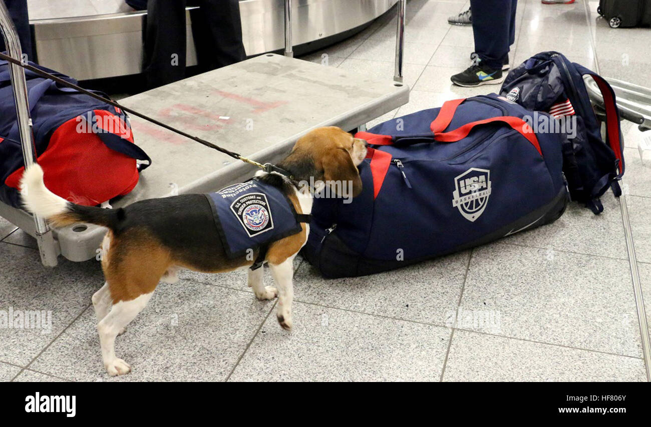 U.s. customs officer airport hi-res stock photography and images - Alamy