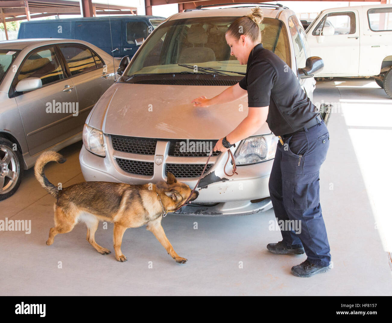 Students and their canine counterparts go through training at the CBP ...