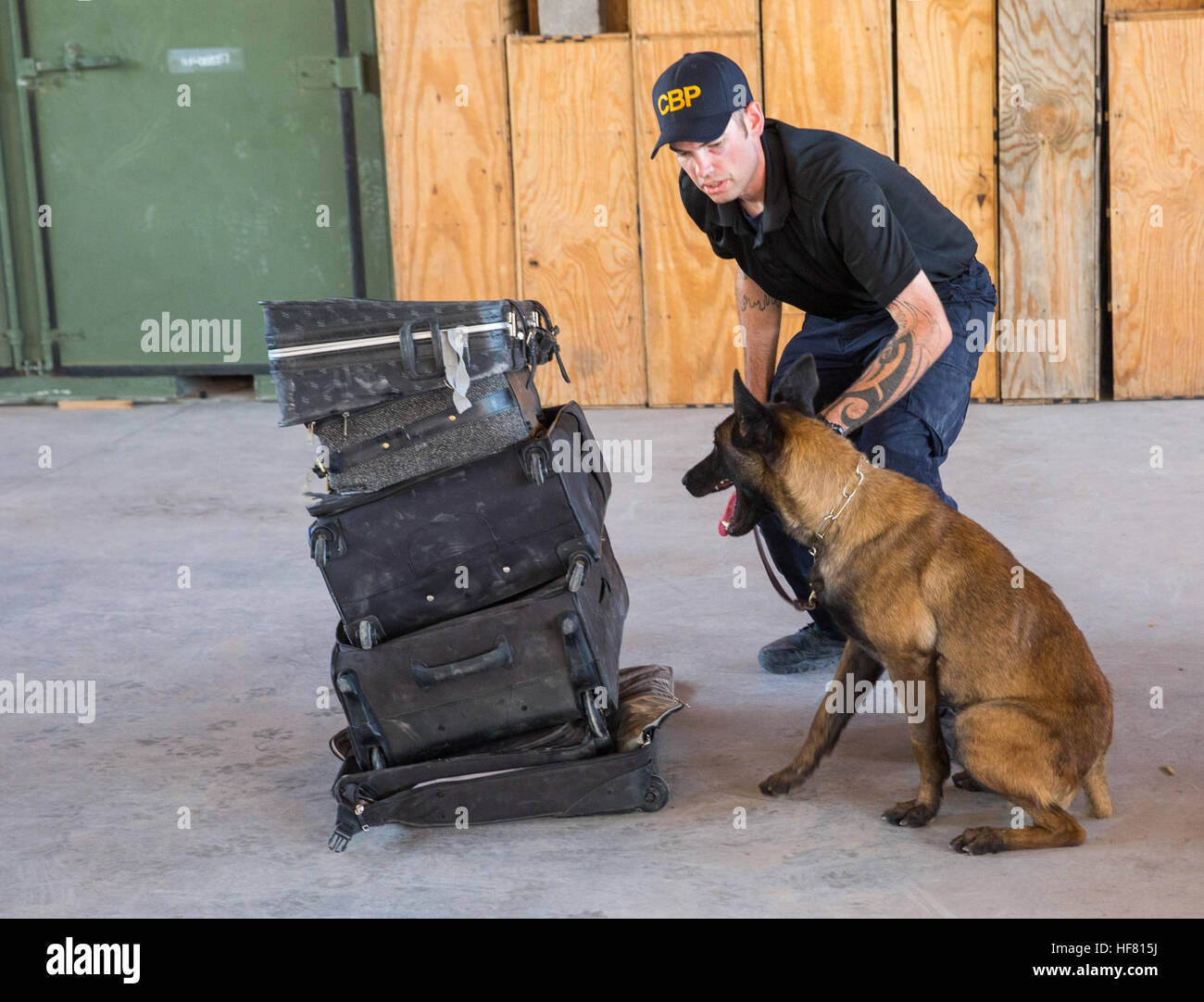 Students and their canine counterparts go through training at the CBP ...