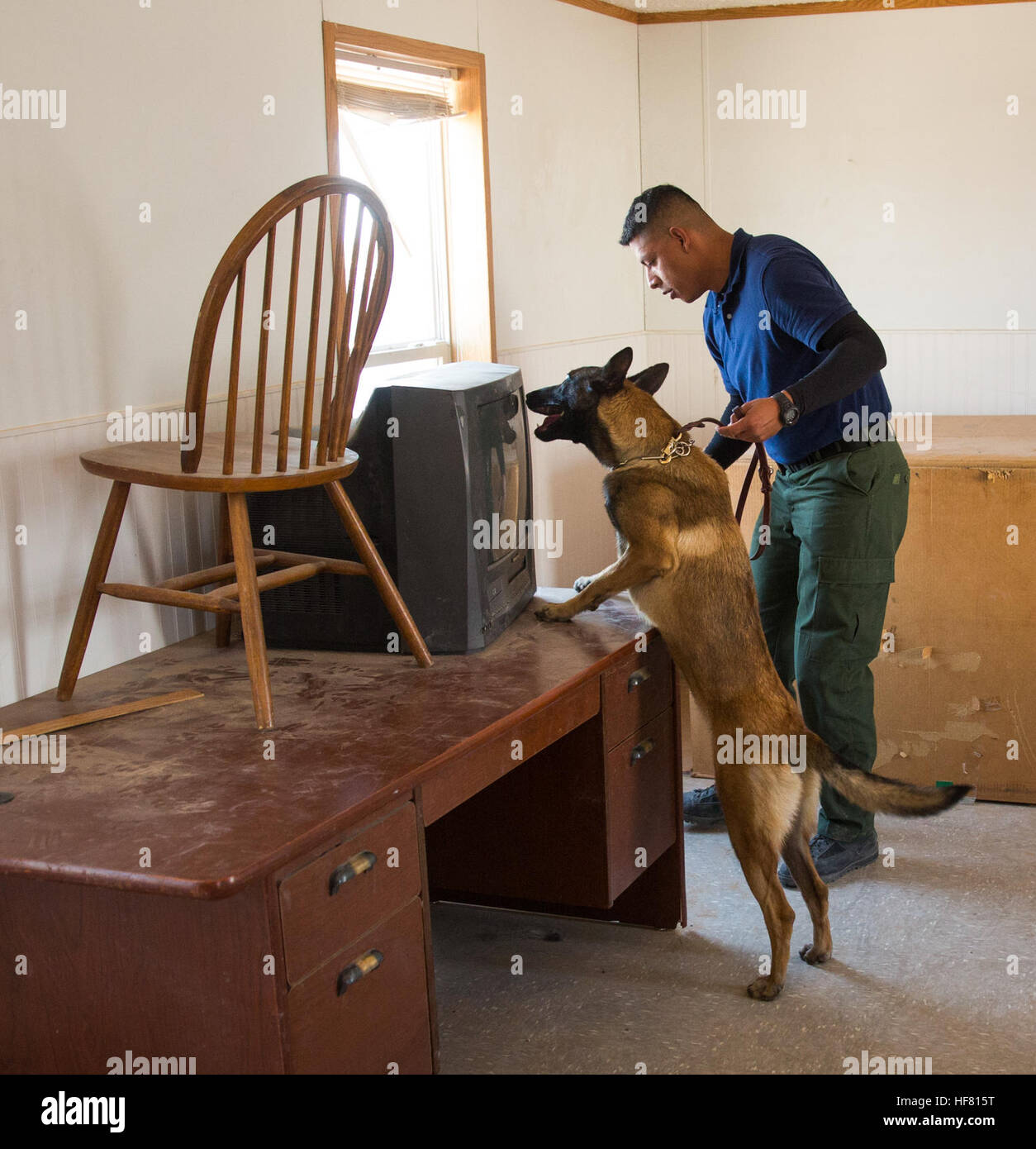 Students and their canine counterparts go through training at the CBP ...
