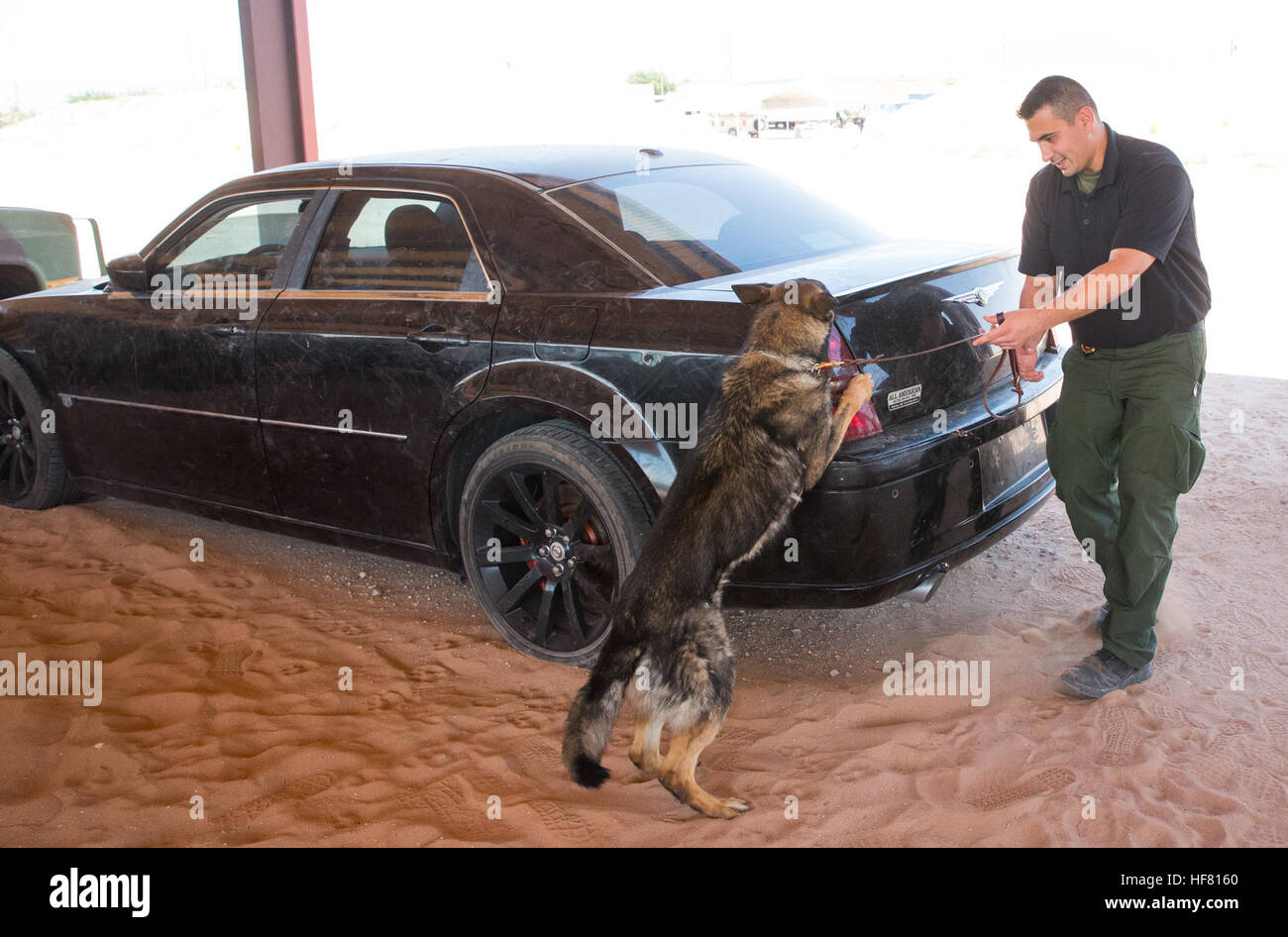 Students and their canine counterparts go through training at the CBP ...