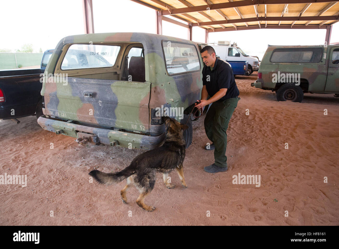 Students and their canine counterparts go through training at the CBP ...