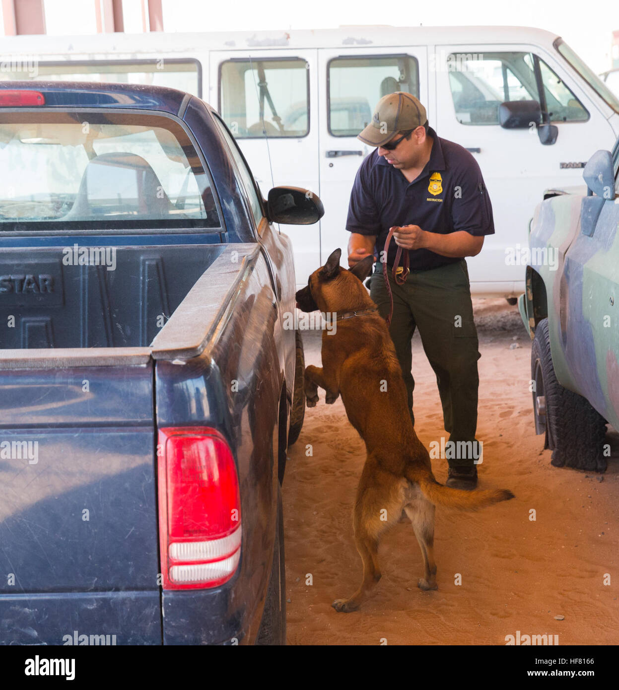 Students and their canine counterparts go through training at the CBP ...