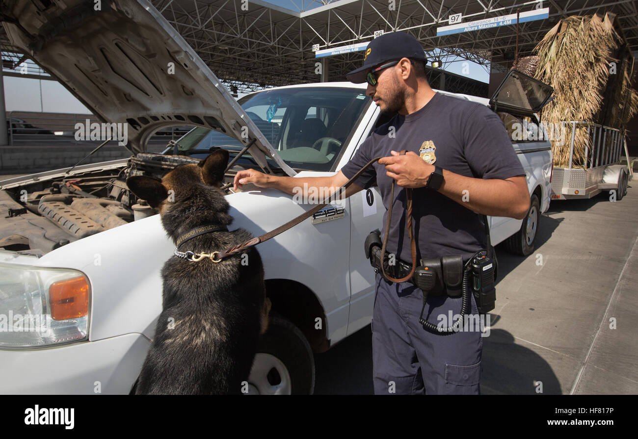 Cbp officers dog hi-res stock photography and images - Alamy