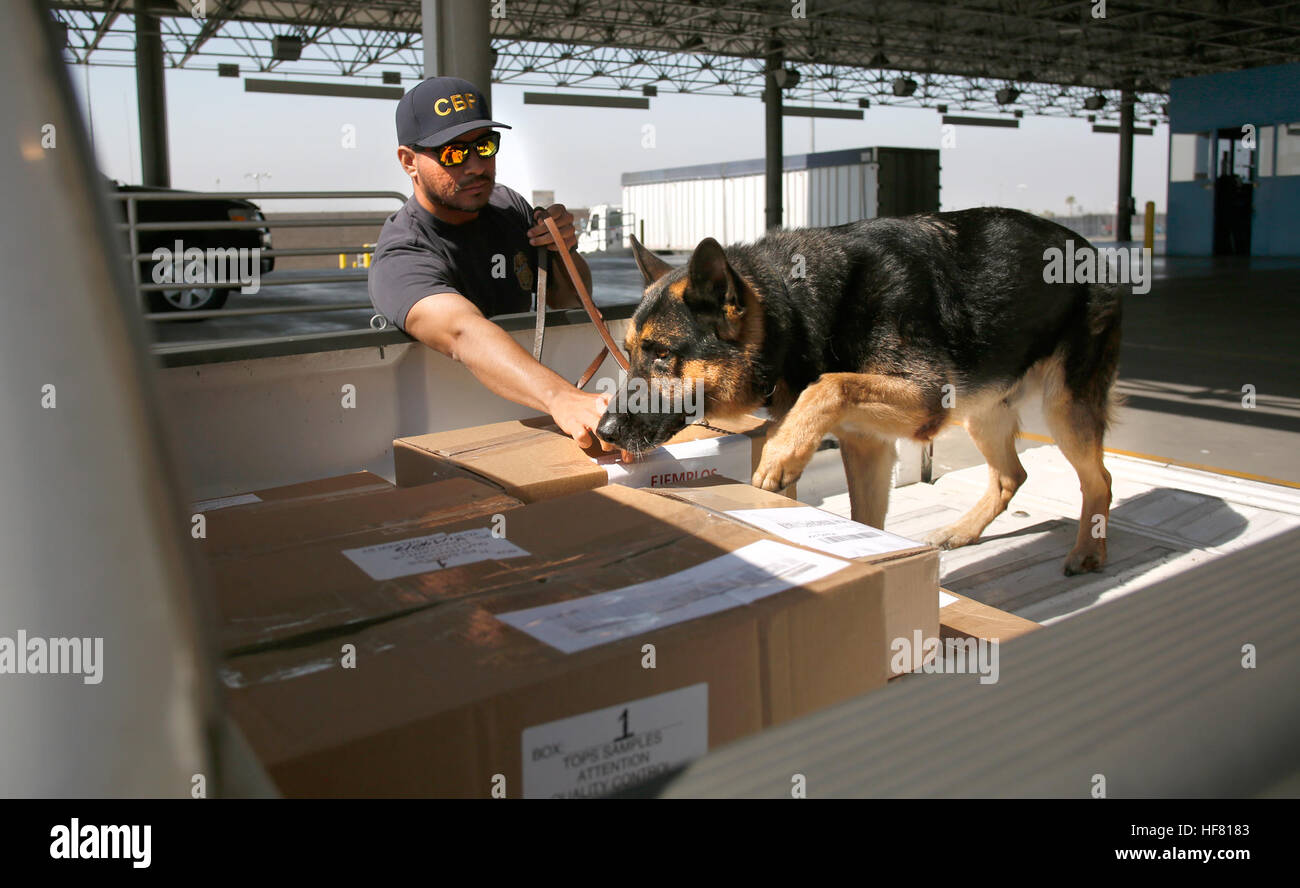 U.S. Customs and Border Protection officers and his dog screen boxed ...