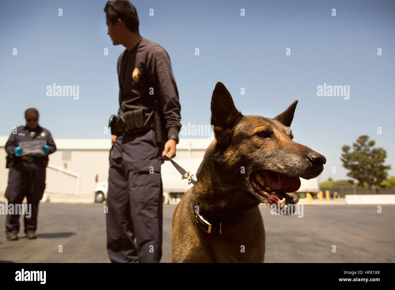 A U.S. Customs and Border Protection officer and his canine prepare to ...