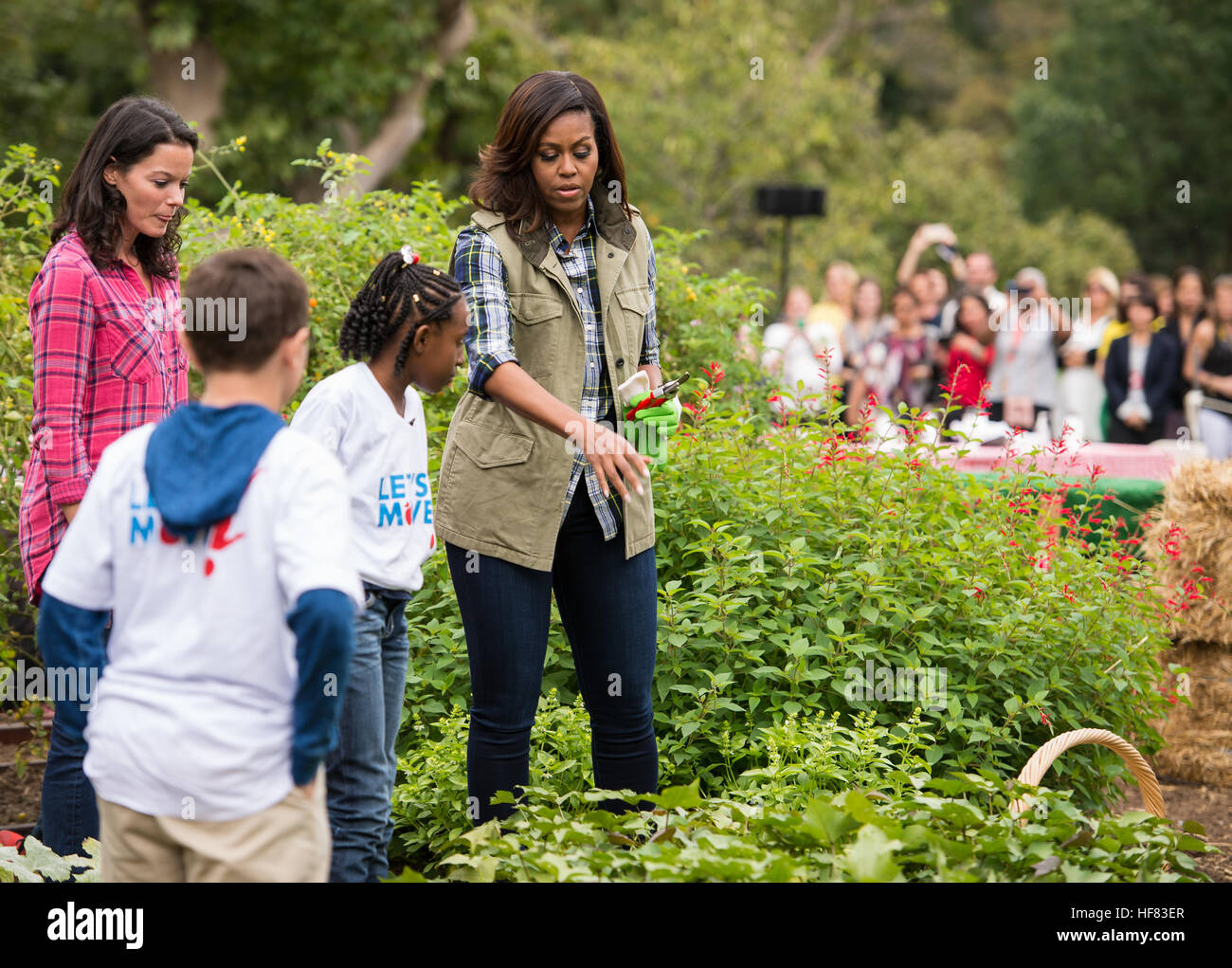 First Lady Michelle Obama harvests the White House Kitchen Garden with ...