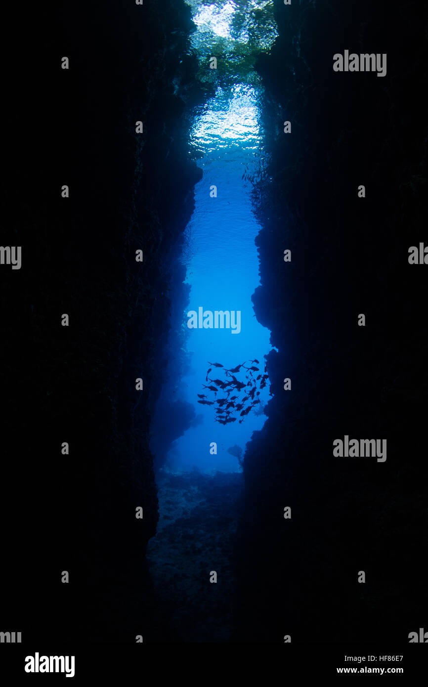 A deep, dark, underwater grotto opens into blue water in the Solomon ...