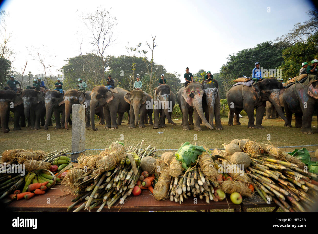 Kathmandu, Nepal. 27th Dec, 2016. Elephants awaits to enjoy various ...
