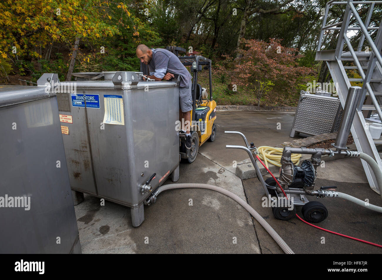 Winery worker pumping wine from one tank to another, Bremer Family ...