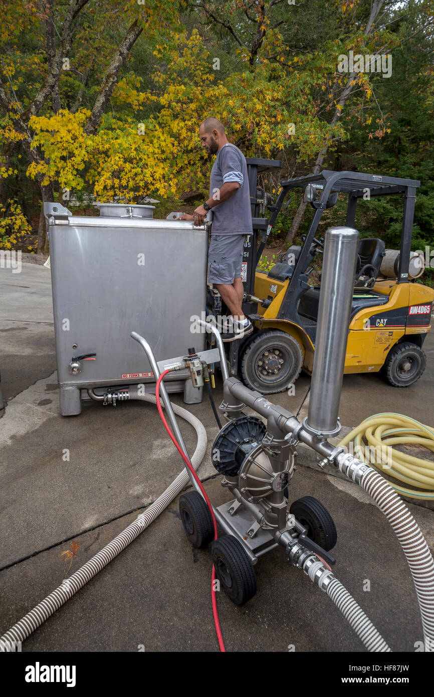 Winery worker pumping wine from one tank to another, Bremer Family ...