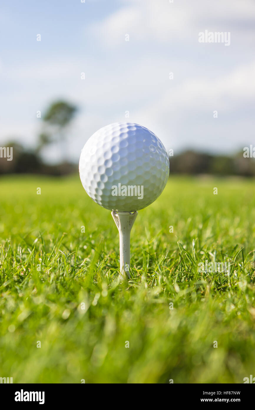 White Golf Ball on Tee Stock Photo - Alamy