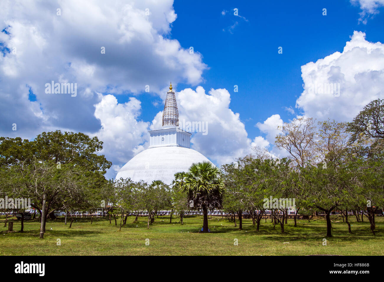 Buddhist temple worship hi-res stock photography and images - Alamy