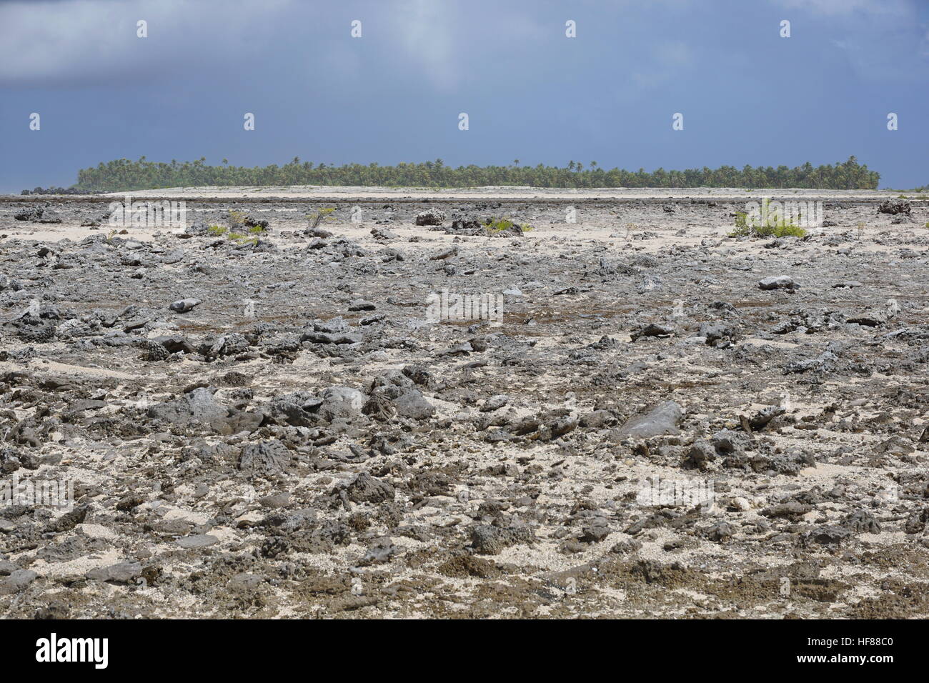 Rocky landscape on the rim of the atoll of Tikehau in a part regularly ...