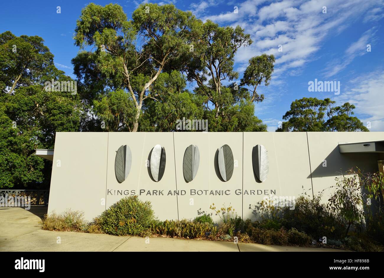 Kings Park, a large park in the city of Perth, is home to the Western ...