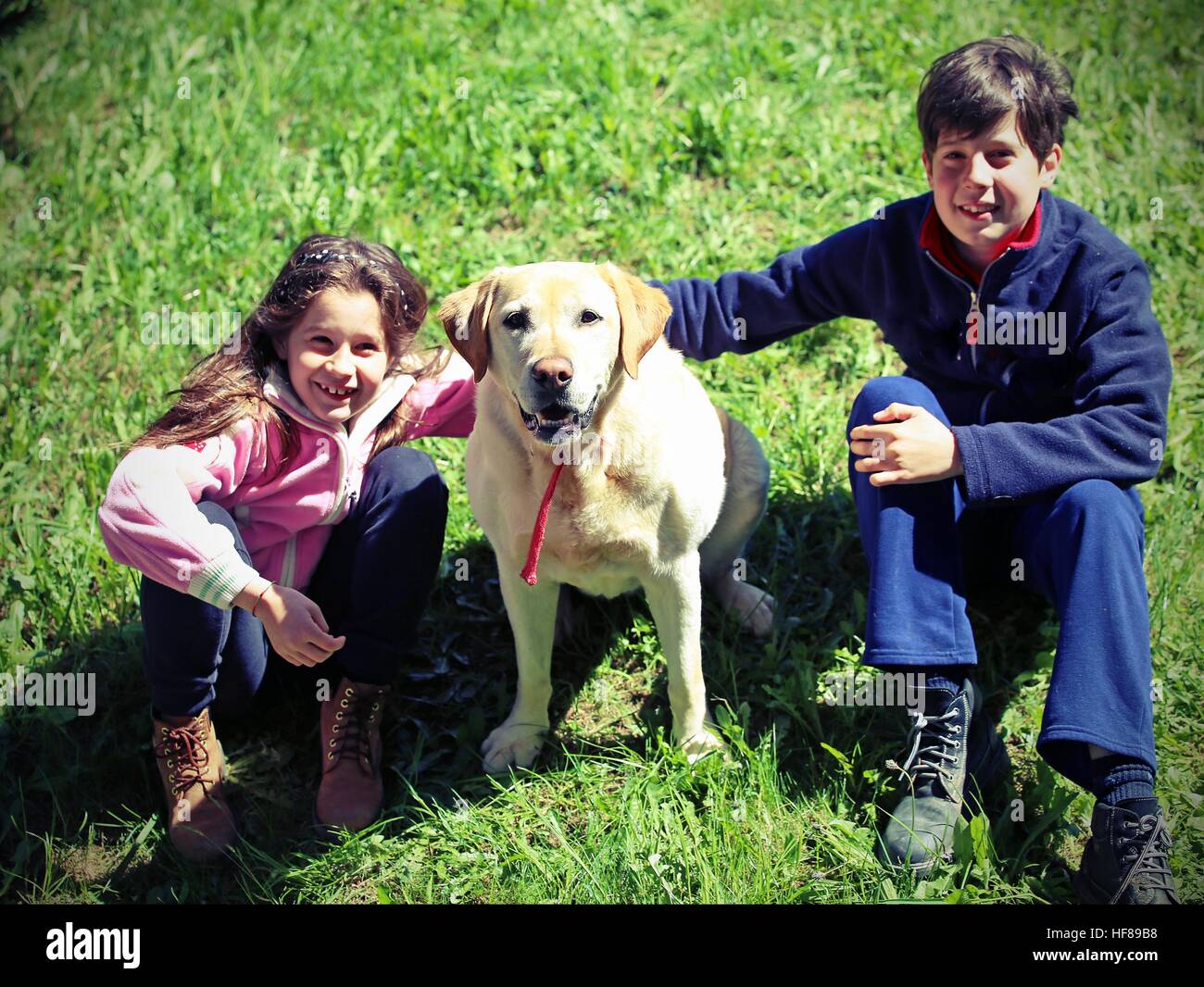 two children with their big labrador dog on the grass Stock Photo - Alamy