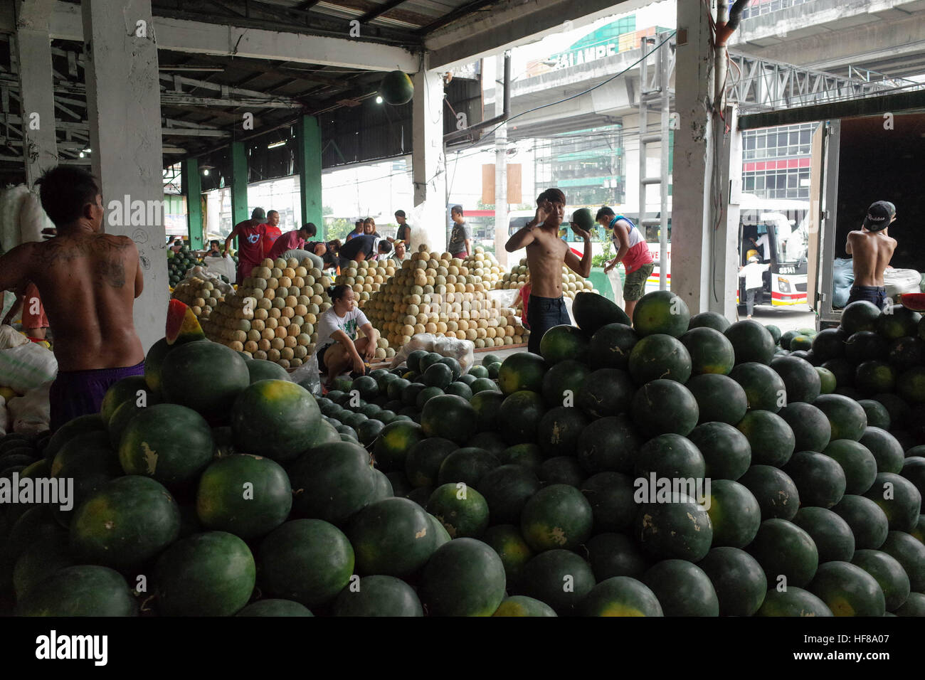 Pyramid Watermelons