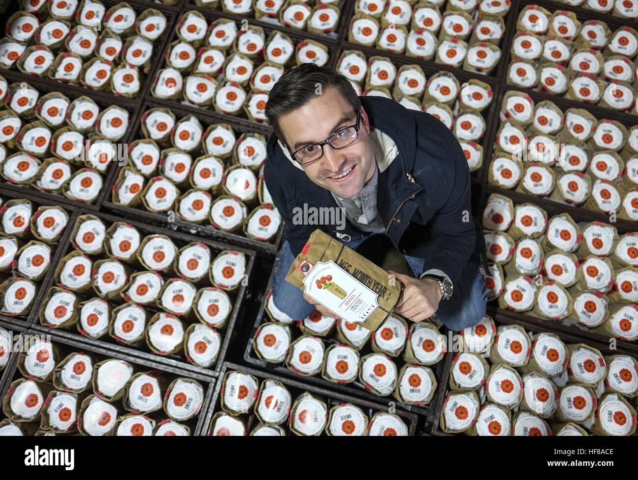 Chiu kit hi-res stock photography and images - Alamy