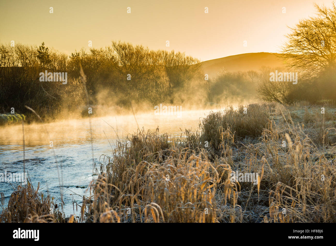 After cold night first hi-res stock photography and images - Alamy