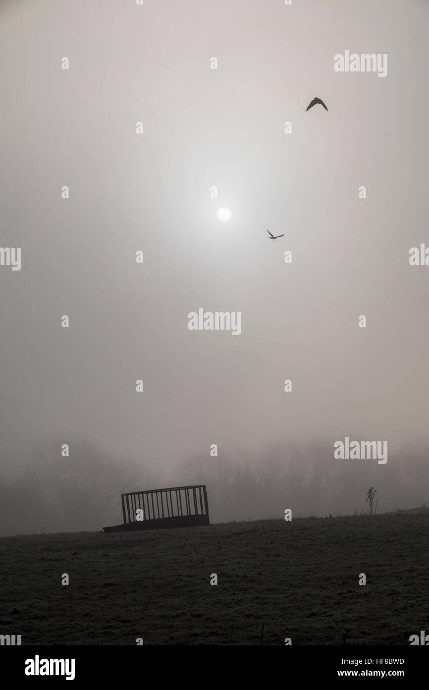 Harptree hi-res stock photography and images - Alamy