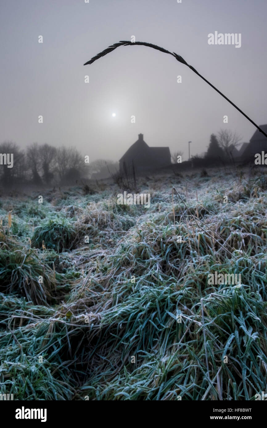 Harptree hi-res stock photography and images - Alamy