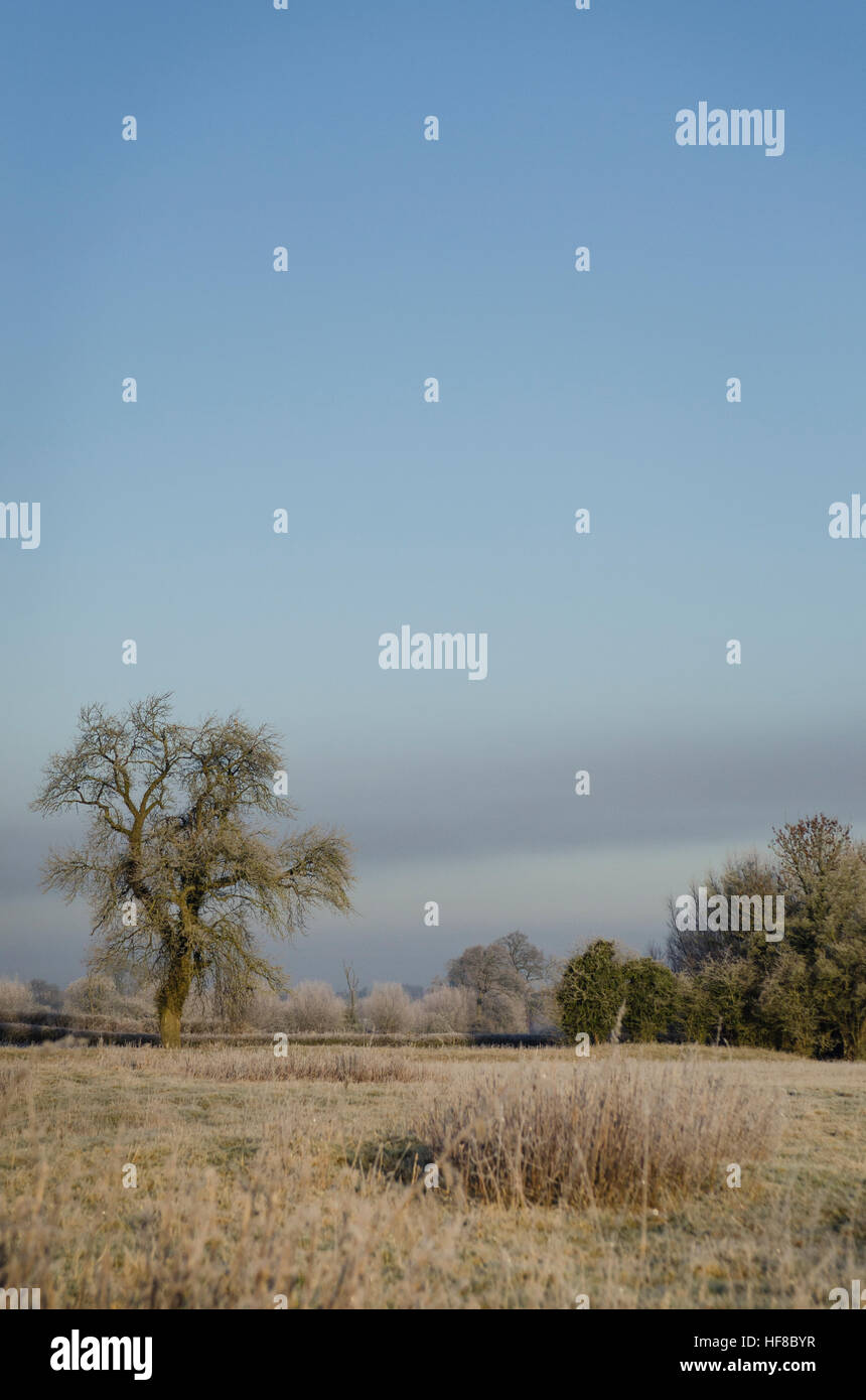 Calverton village hi-res stock photography and images - Alamy