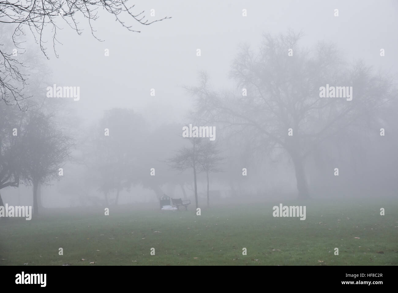 London, UK. 28th December 2016. Heavy fog in North London. Credit ...