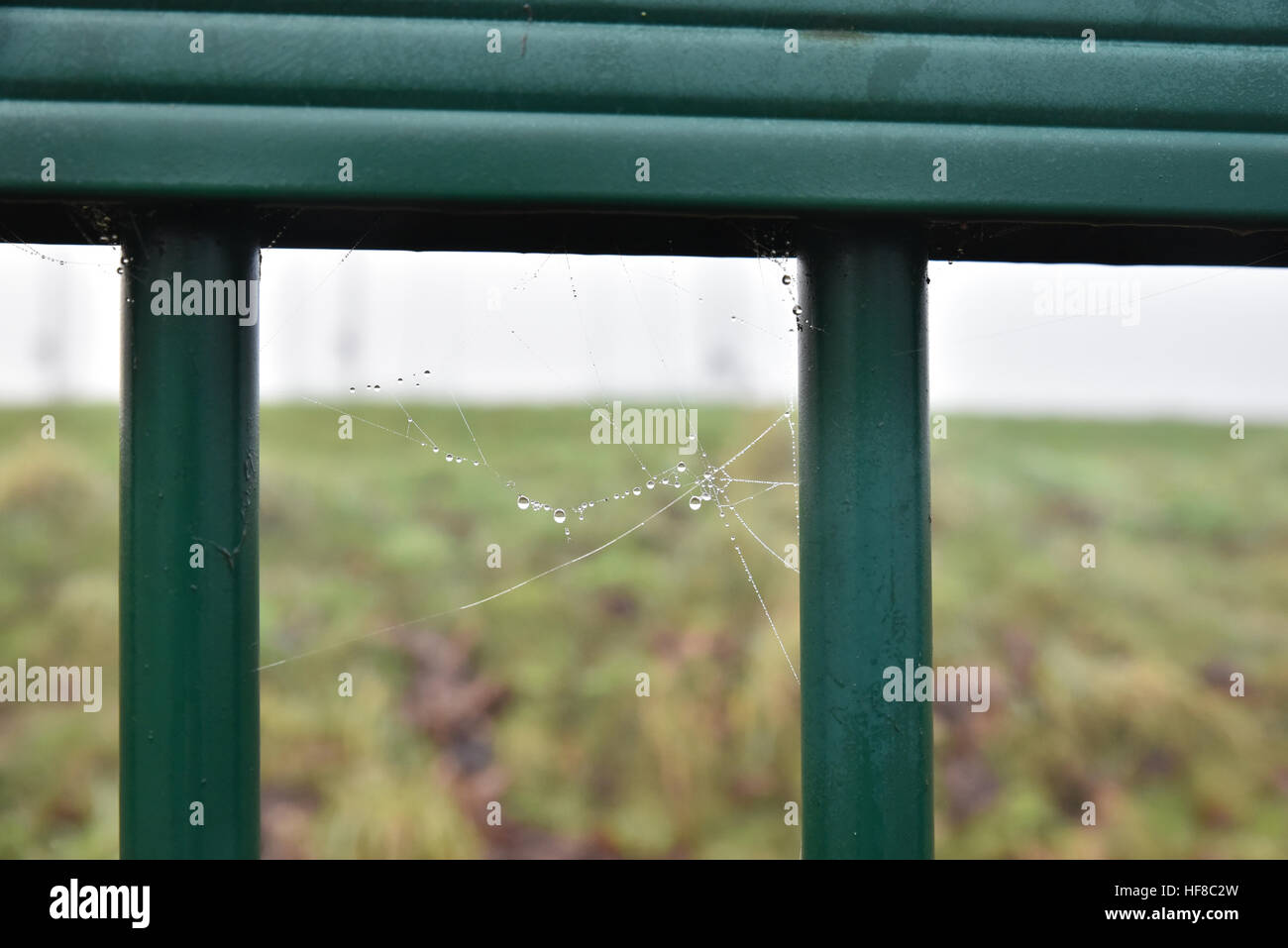 London, UK. 28th December 2016. Heavy fog in North London. Credit ...
