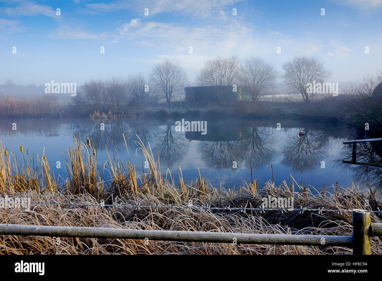 Tuesley Farm, Godalming, UK. 28th Dec, 2016. UK Weather: Frosty and ...